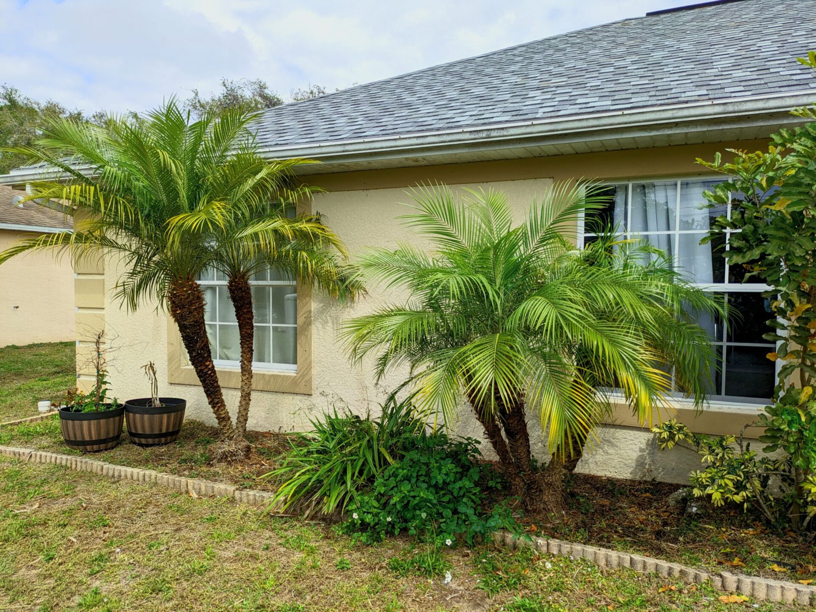 Epic Horizons Landscaping